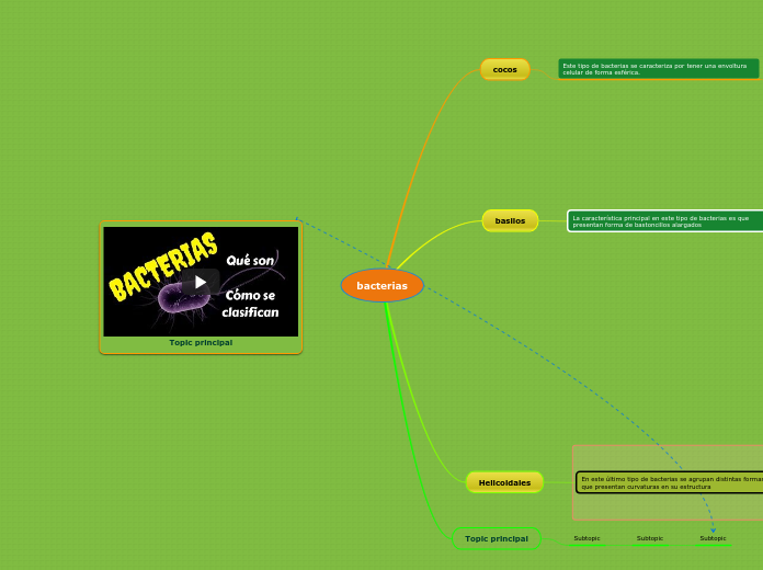 bacterias - Mind Map
